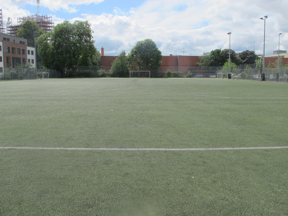 Artifical Pitch (2G/3G) / Football Pitch at Sidney Stringer Academy for ...